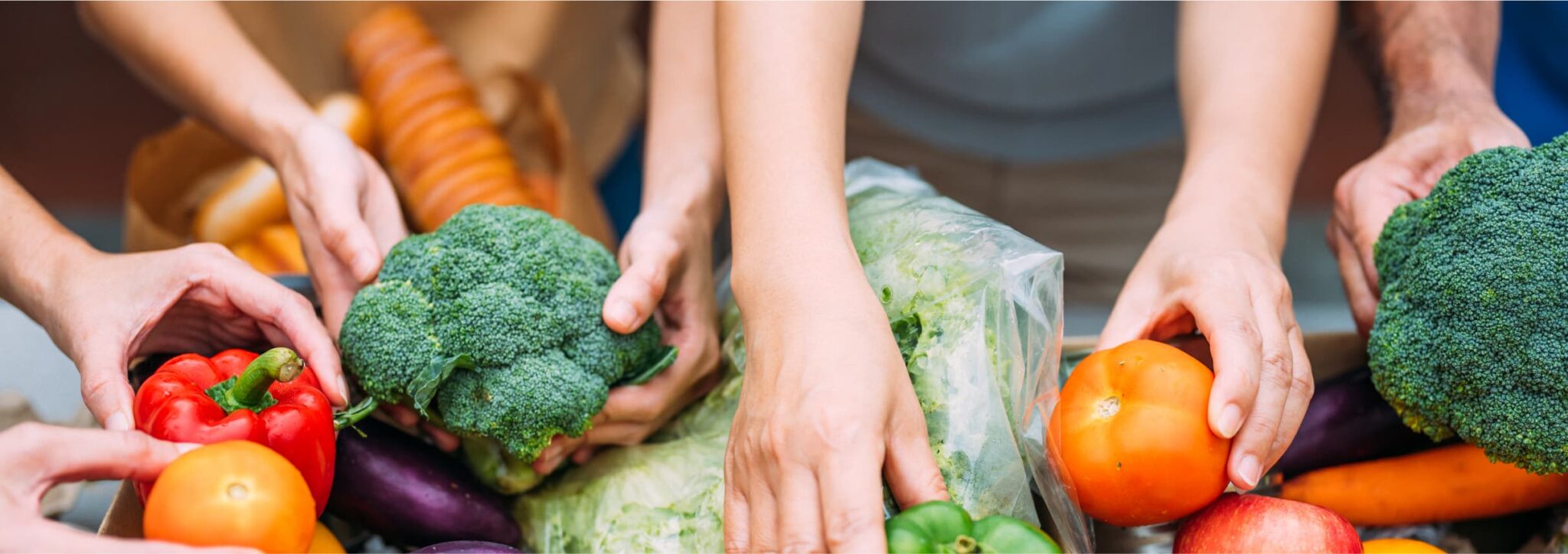 Programs - San Diego Food Bank